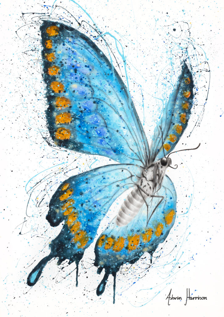 Butterfly Dreams | Original Australian Art | Ashvin Harrison