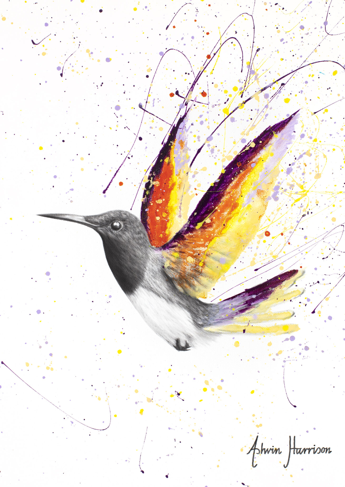 Australian bird art Archives | Ashvin Harrison
