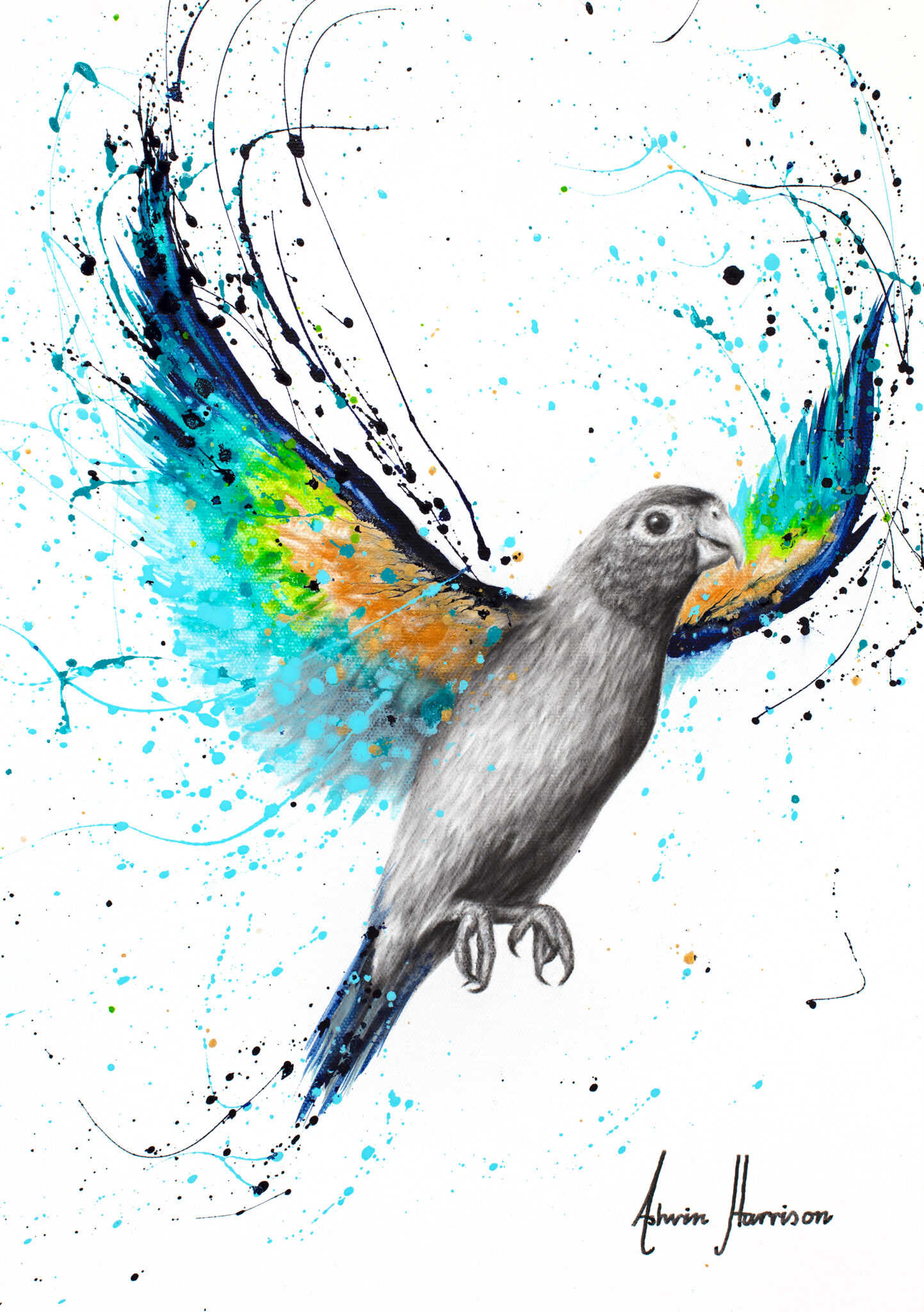 Animals Archives | Page 2 of 26 | Ashvin Harrison