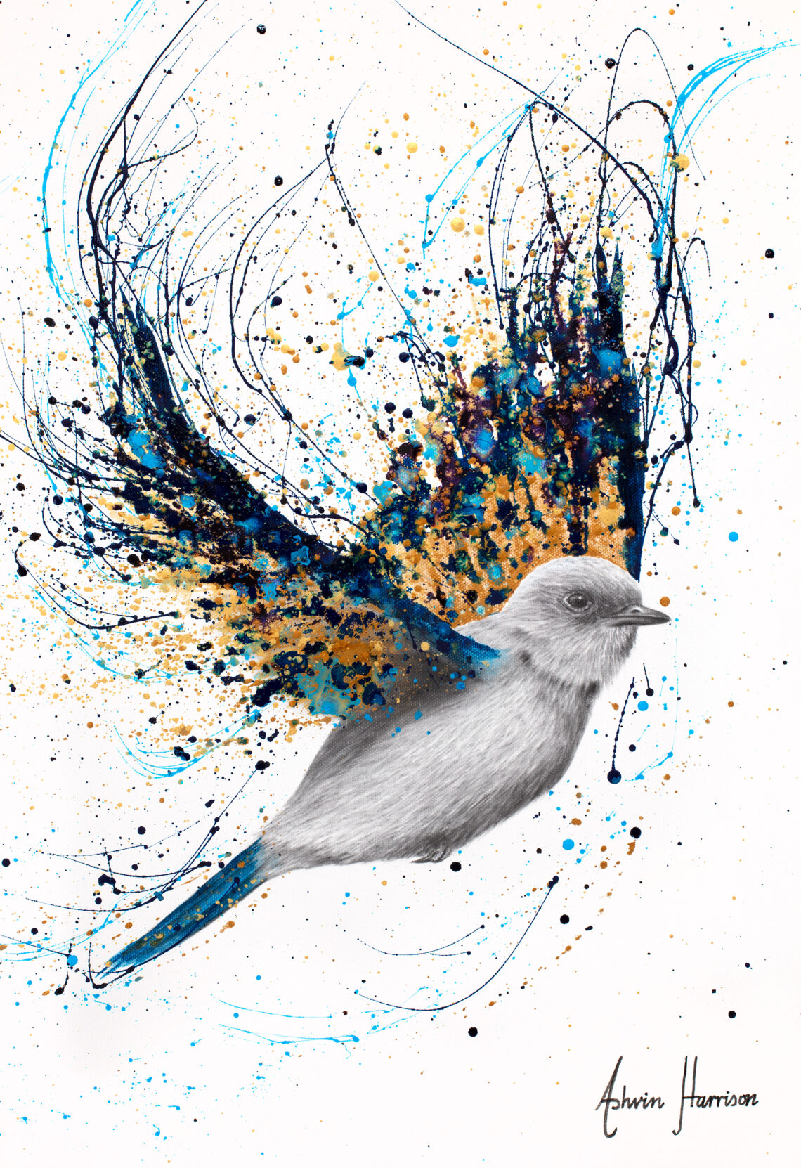 bird art Archives | Ashvin Harrison