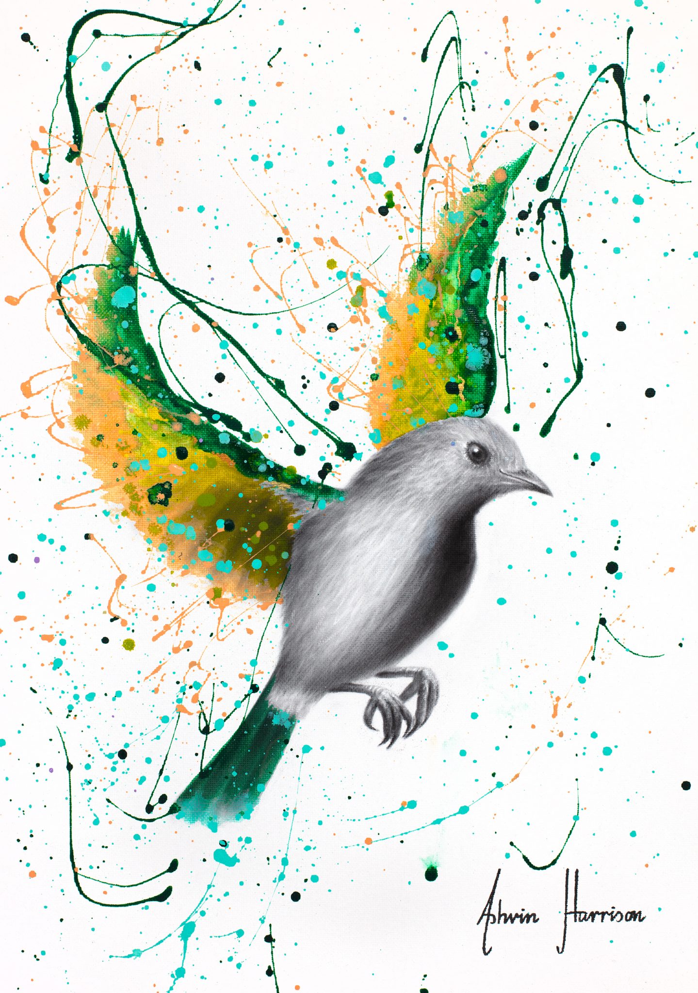 Animals Archives - Page 3 of 30 - Ashvin Harrison