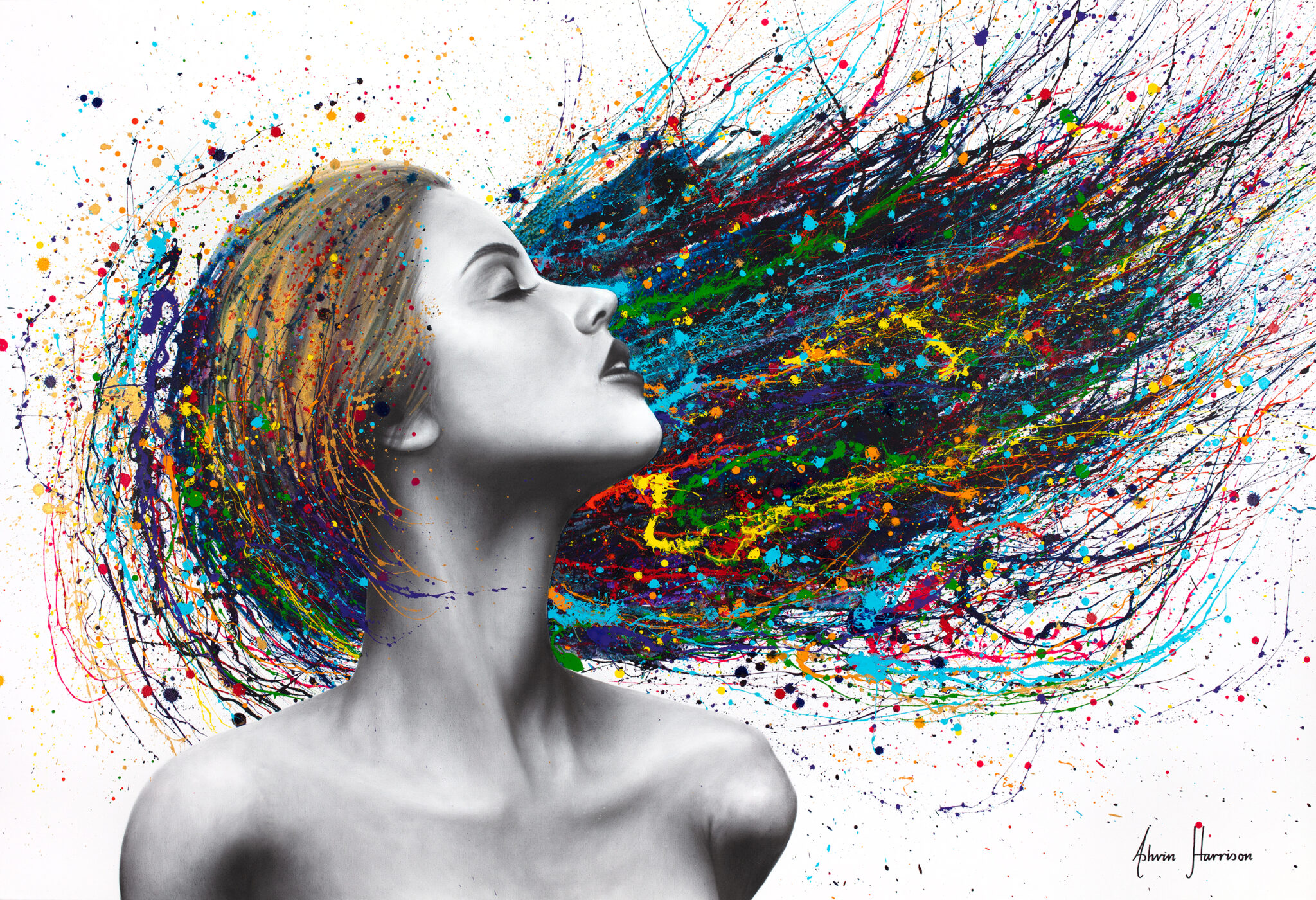 Gallery Archives | Ashvin Harrison