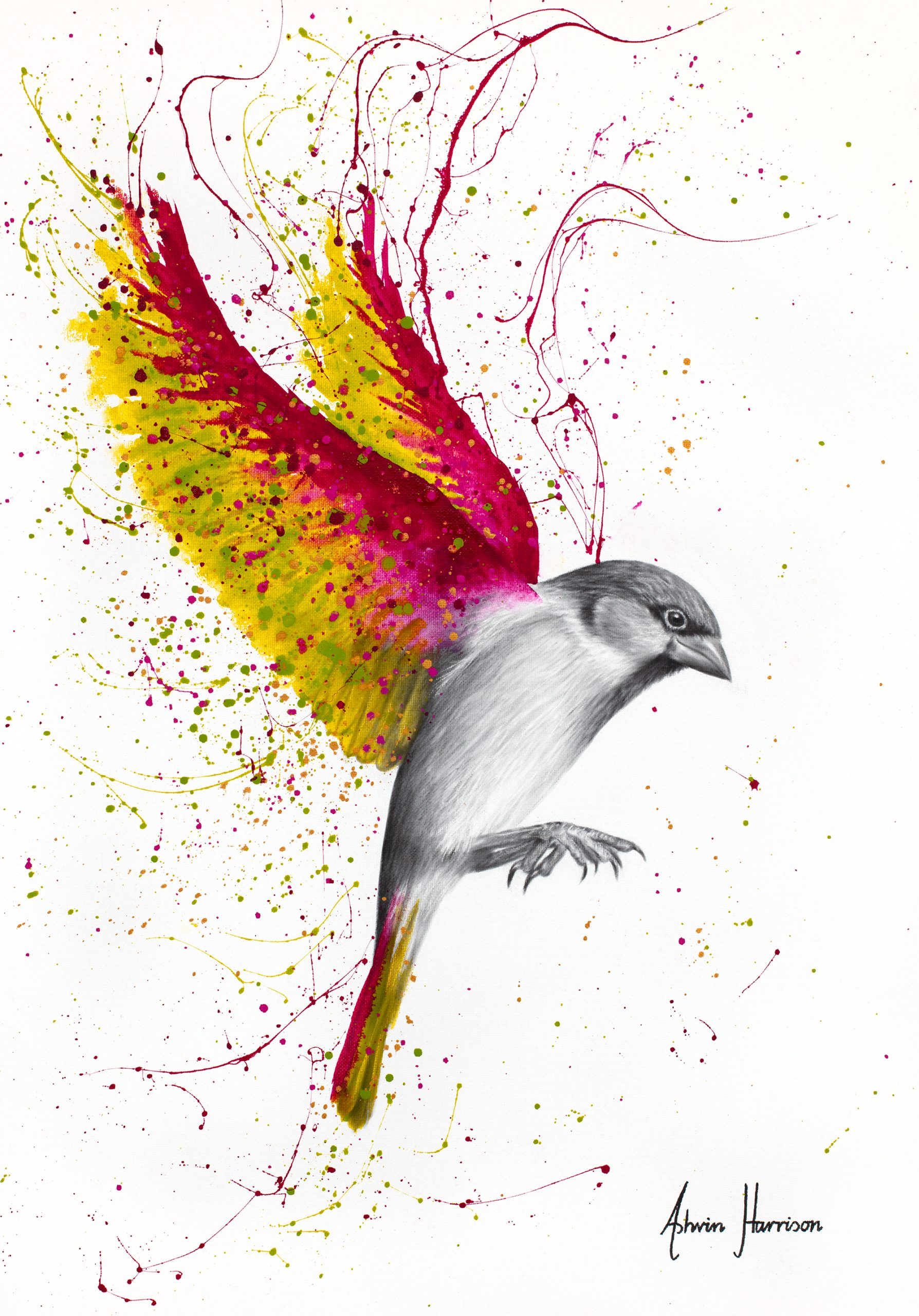 Animals Archives - Page 3 of 30 - Ashvin Harrison