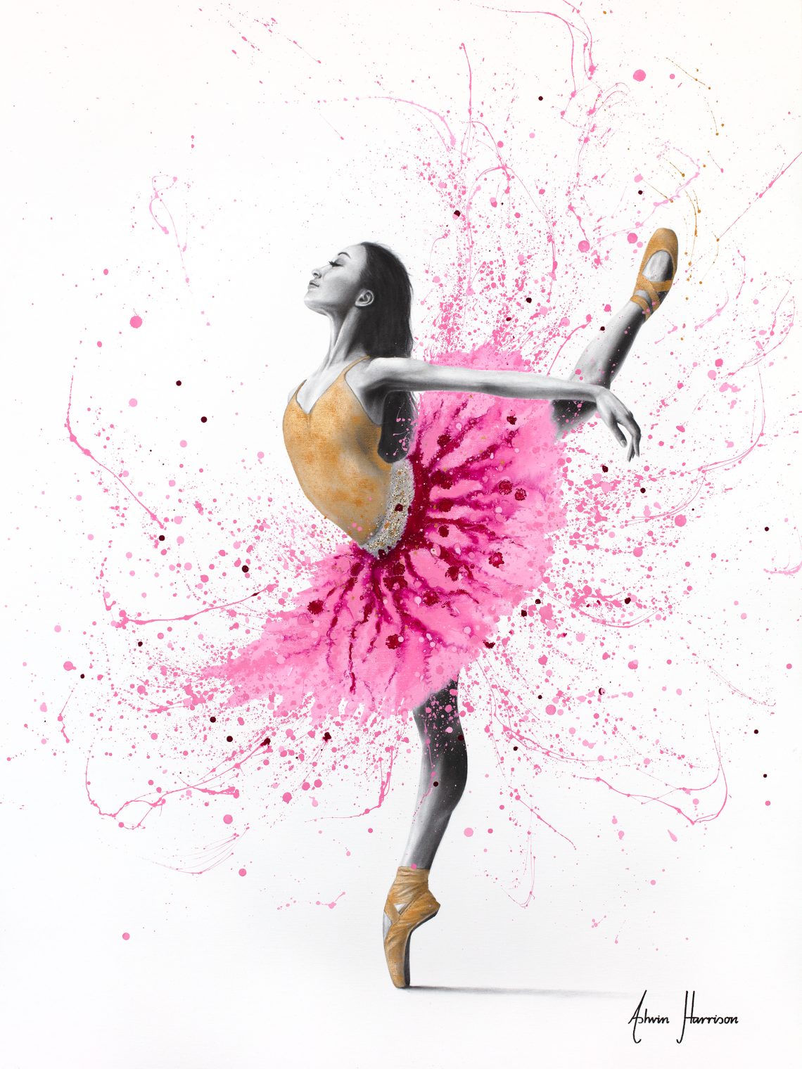 Ballerina Art & Prints | Original Ballet Art For Sale | Ashvin Harrison