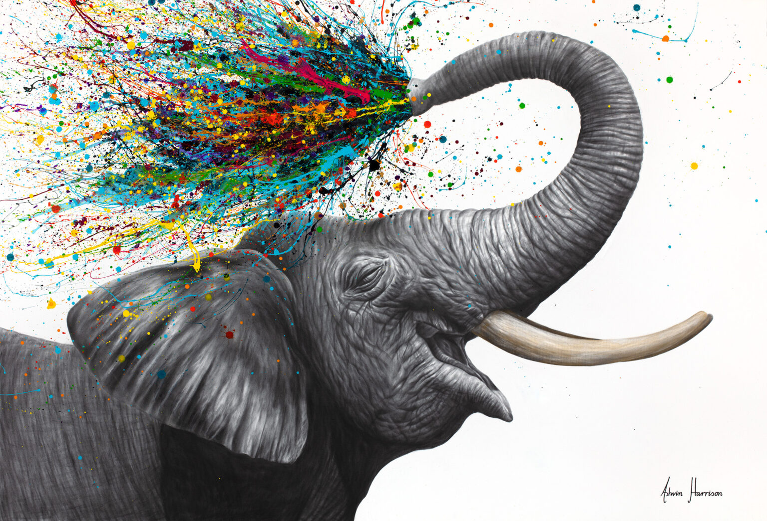 Animals Archives - Ashvin Harrison