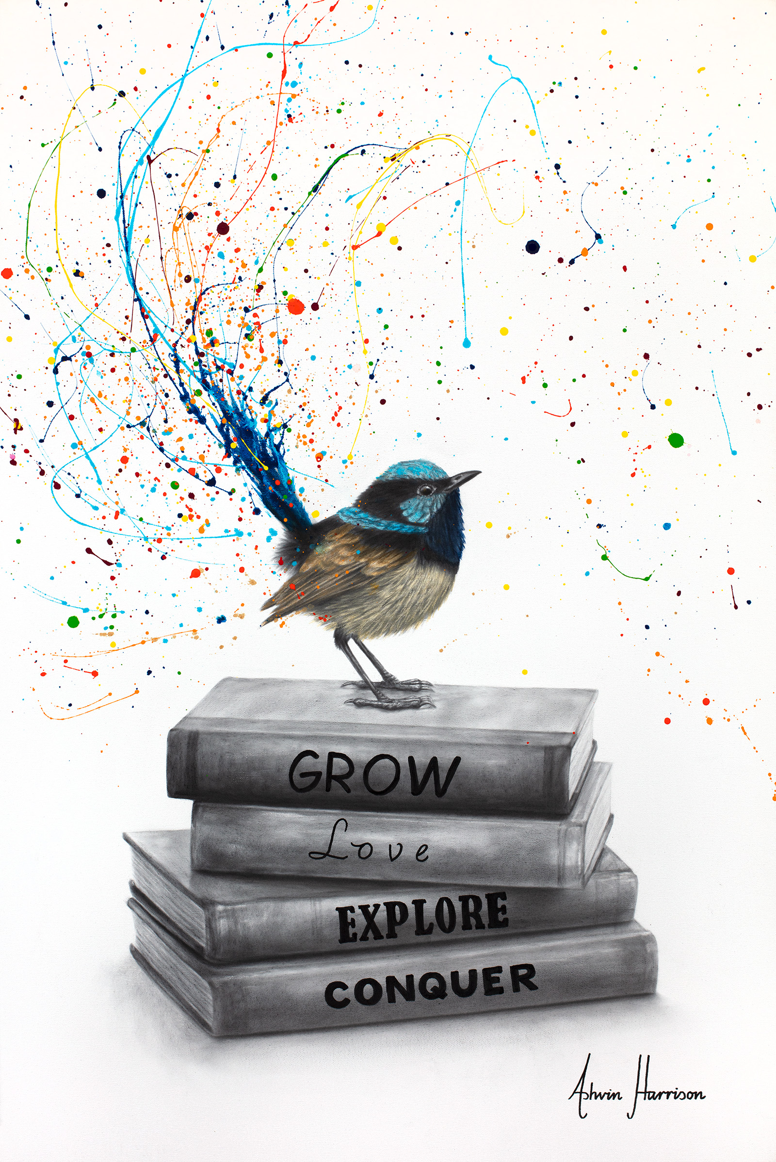 Animals Archives - Ashvin Harrison