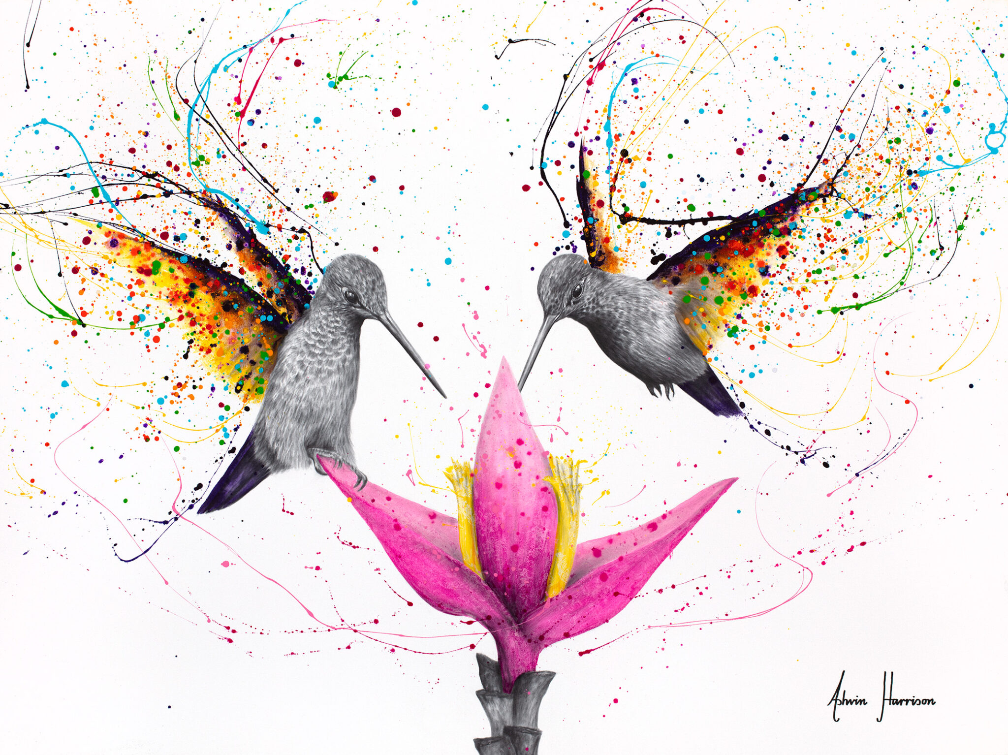Animals Archives - Ashvin Harrison
