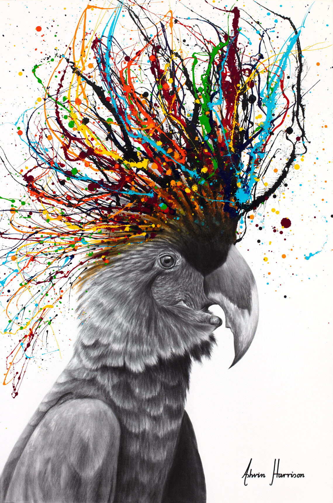 Animals Archives - Ashvin Harrison