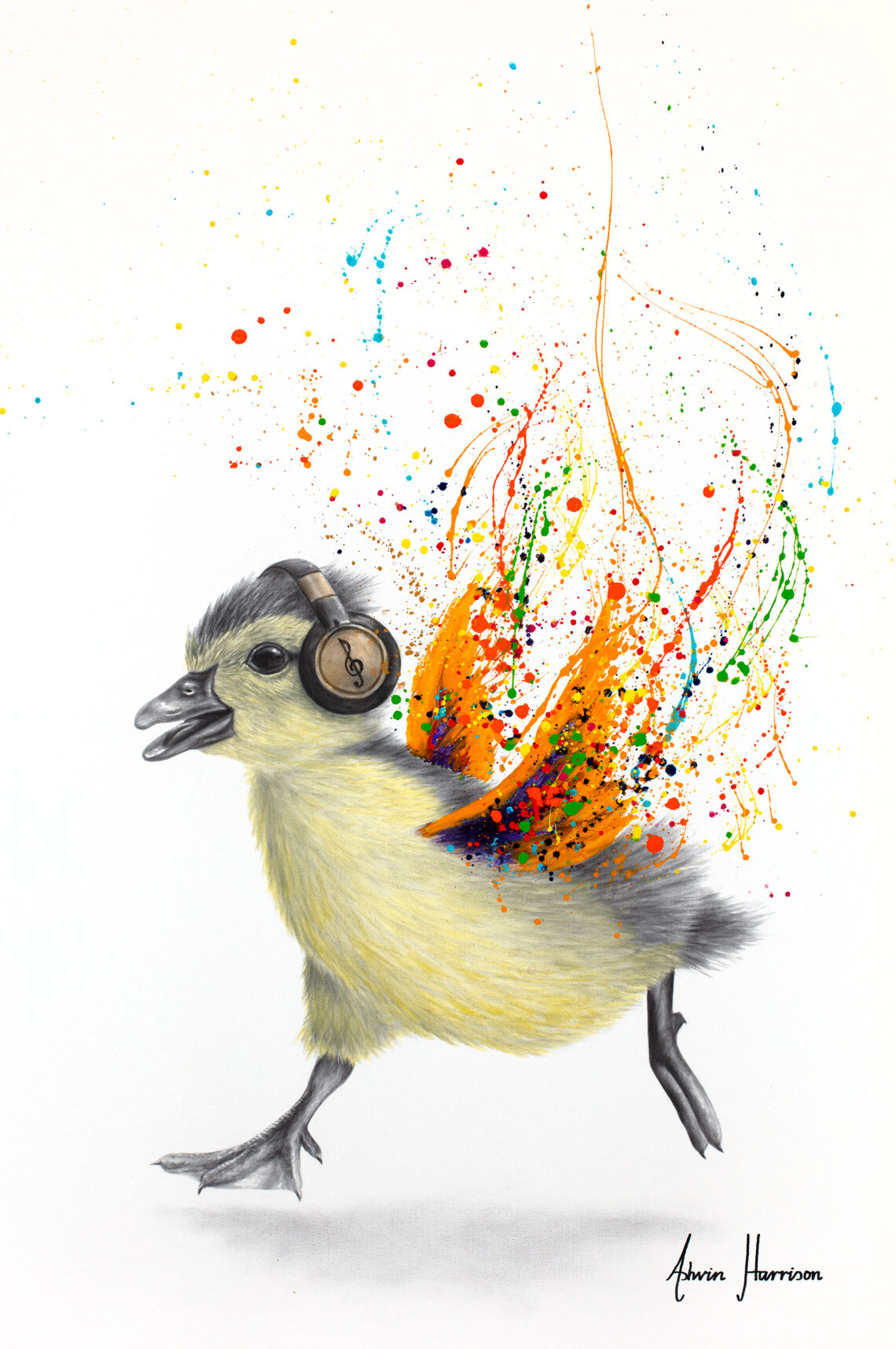 Animals Archives - Page 3 of 32 - Ashvin Harrison
