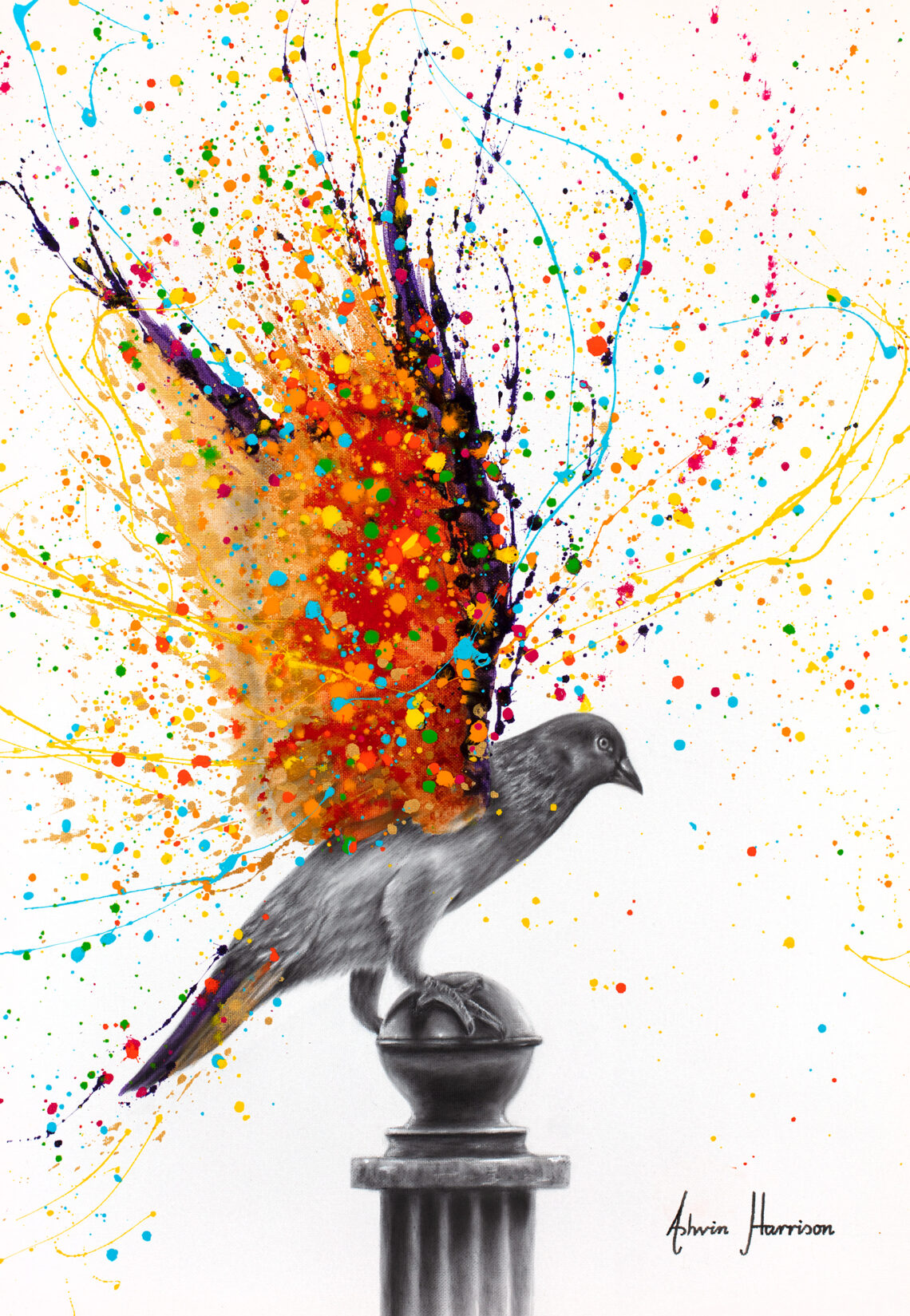 Animals Archives - Ashvin Harrison