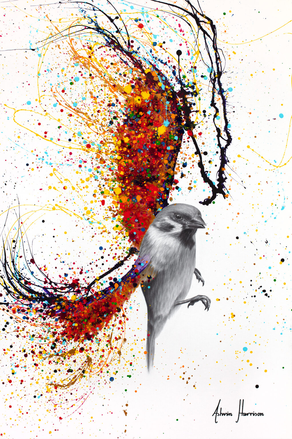 Animals Archives - Ashvin Harrison