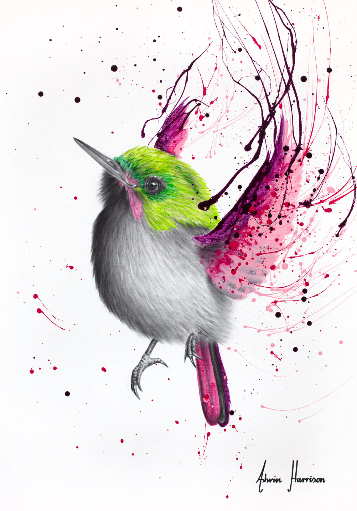 Animals Archives - Ashvin Harrison