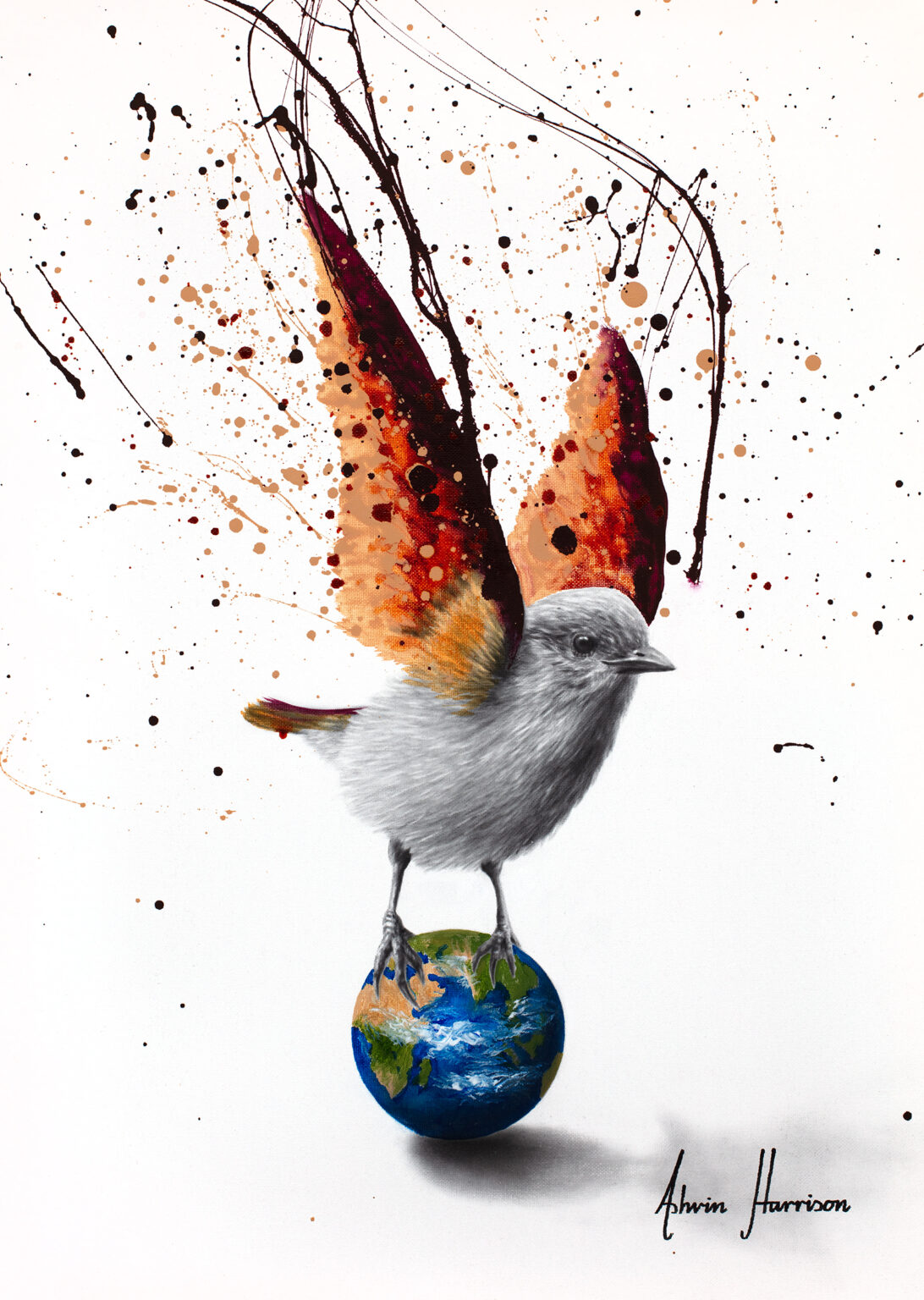 Animals Archives - Ashvin Harrison