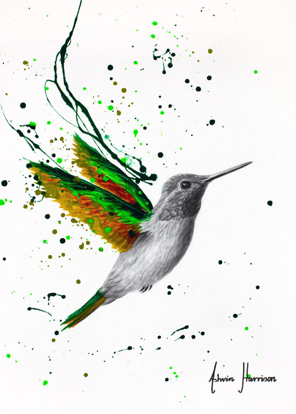 Animals Archives - Ashvin Harrison