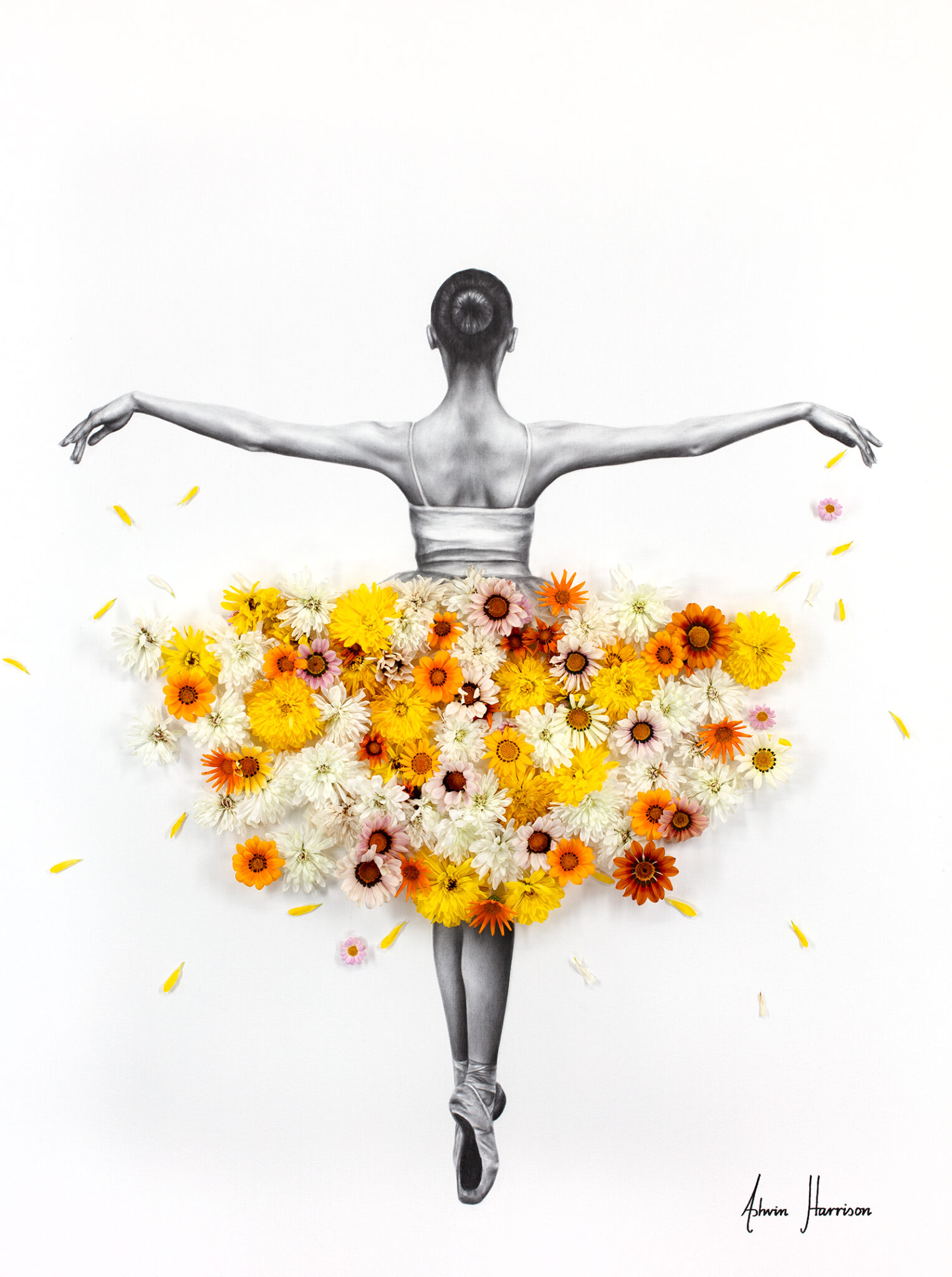 Popular Art Prints Archives - Ashvin Harrison
