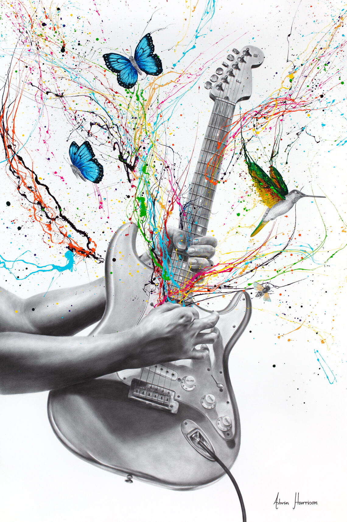 Animals Archives - Page 2 of 4 - Ashvin Harrison