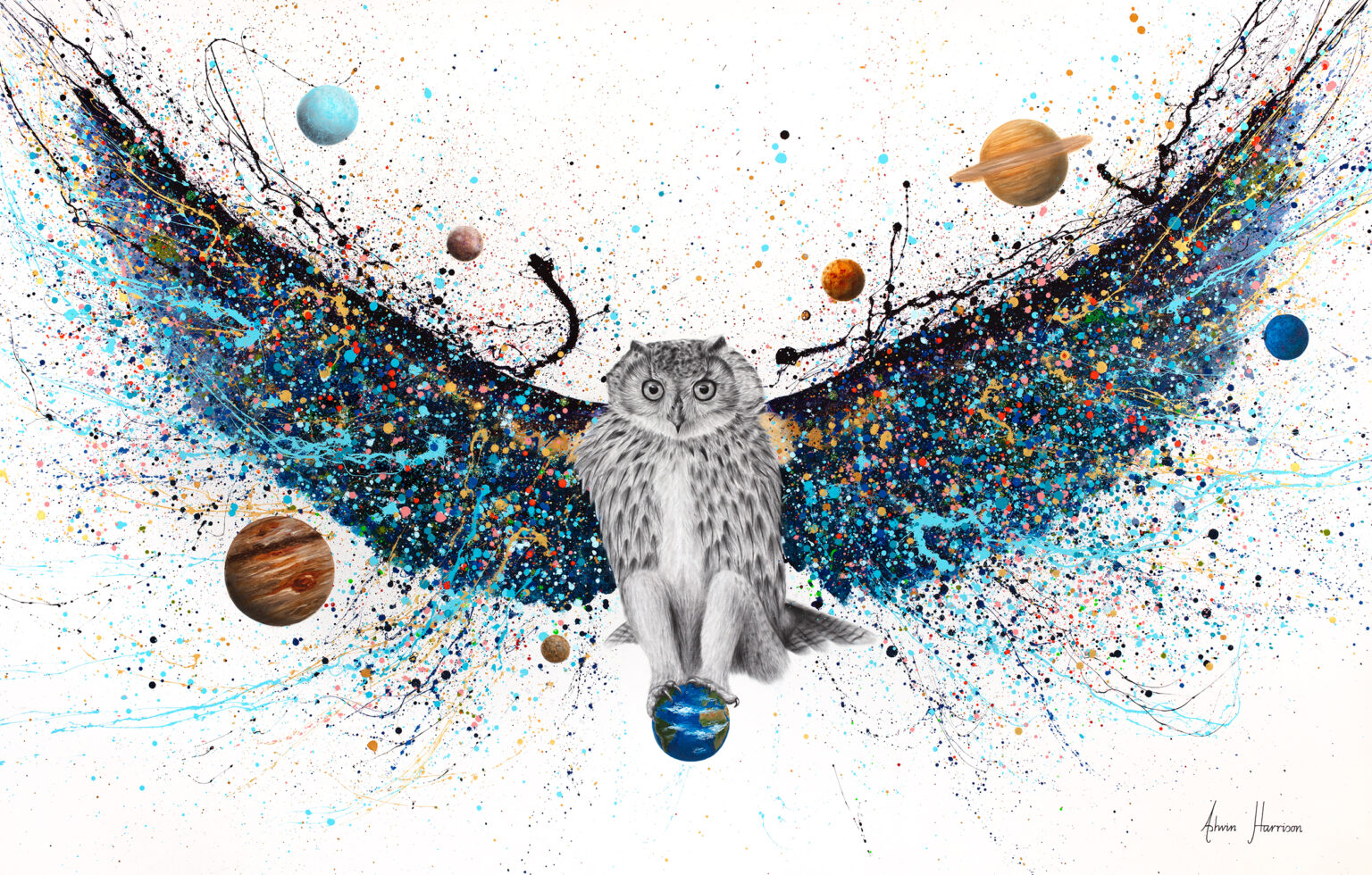 Animals Archives - Ashvin Harrison
