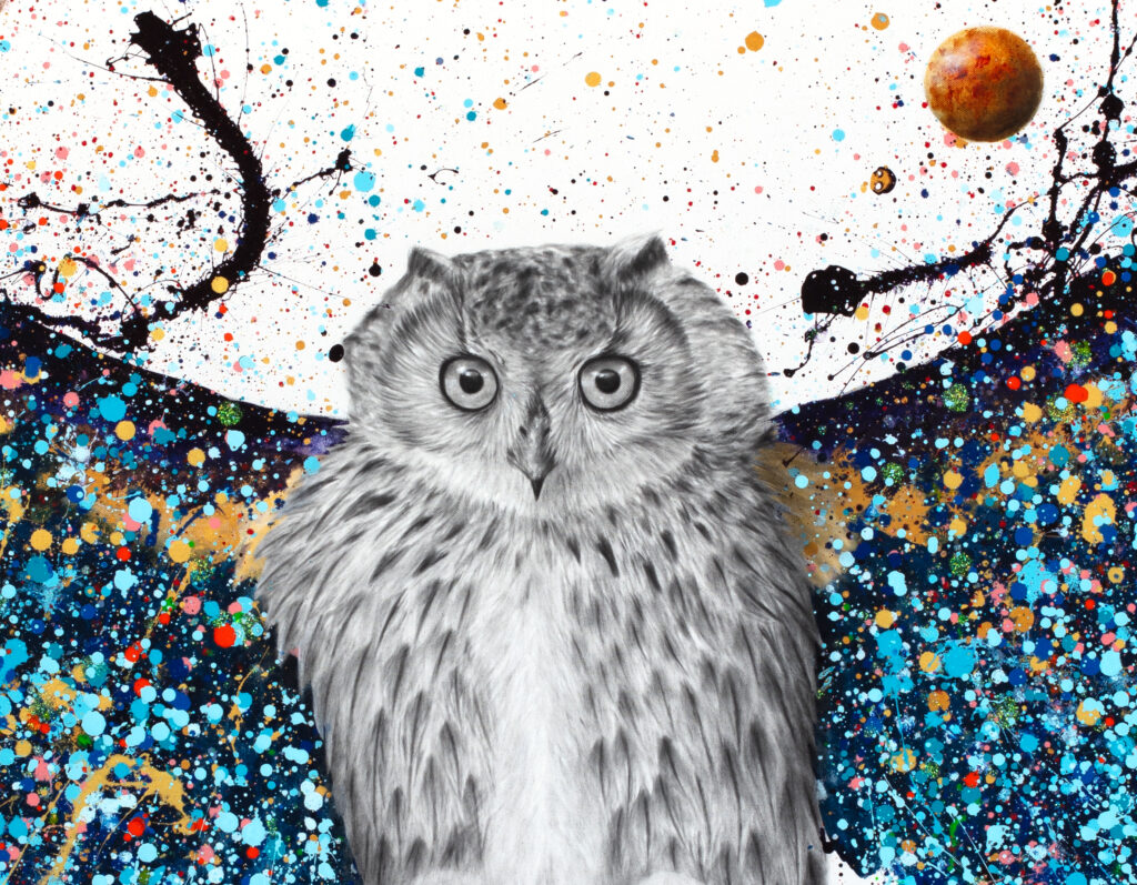 Space Owl | Australian Art | Ashvin Harrison