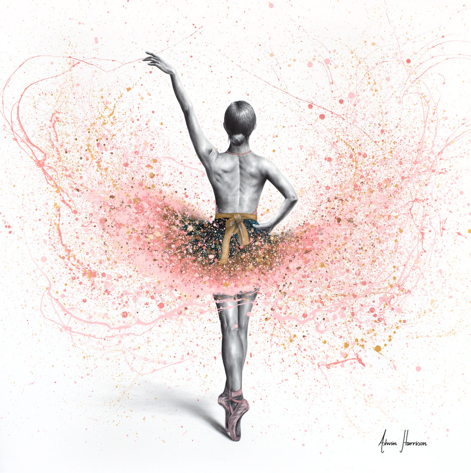 Ballerina Art & Prints | Original Ballet Art For Sale | Ashvin Harrison