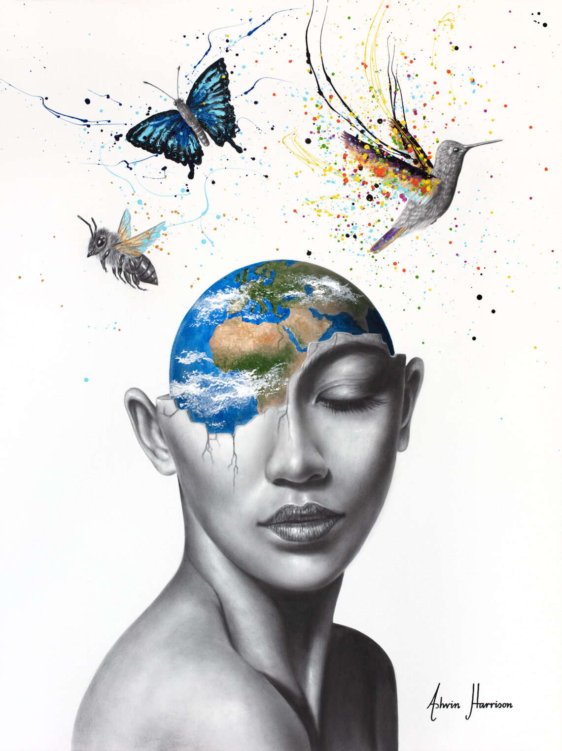 Australian Artist | Ashvin Harrison | Fine Art Paintings