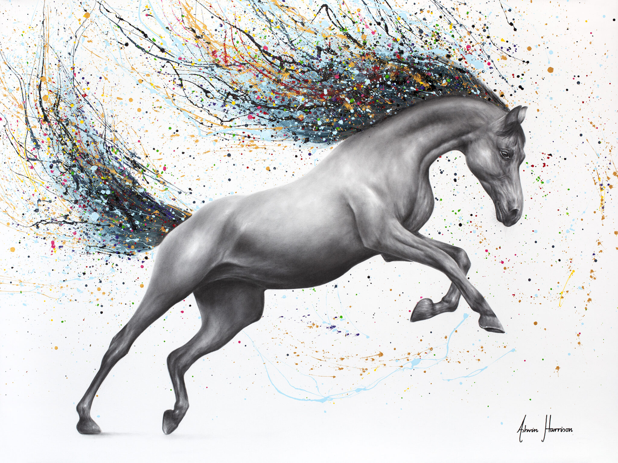 Australian Artist | Ashvin Harrison | Fine Art Paintings
