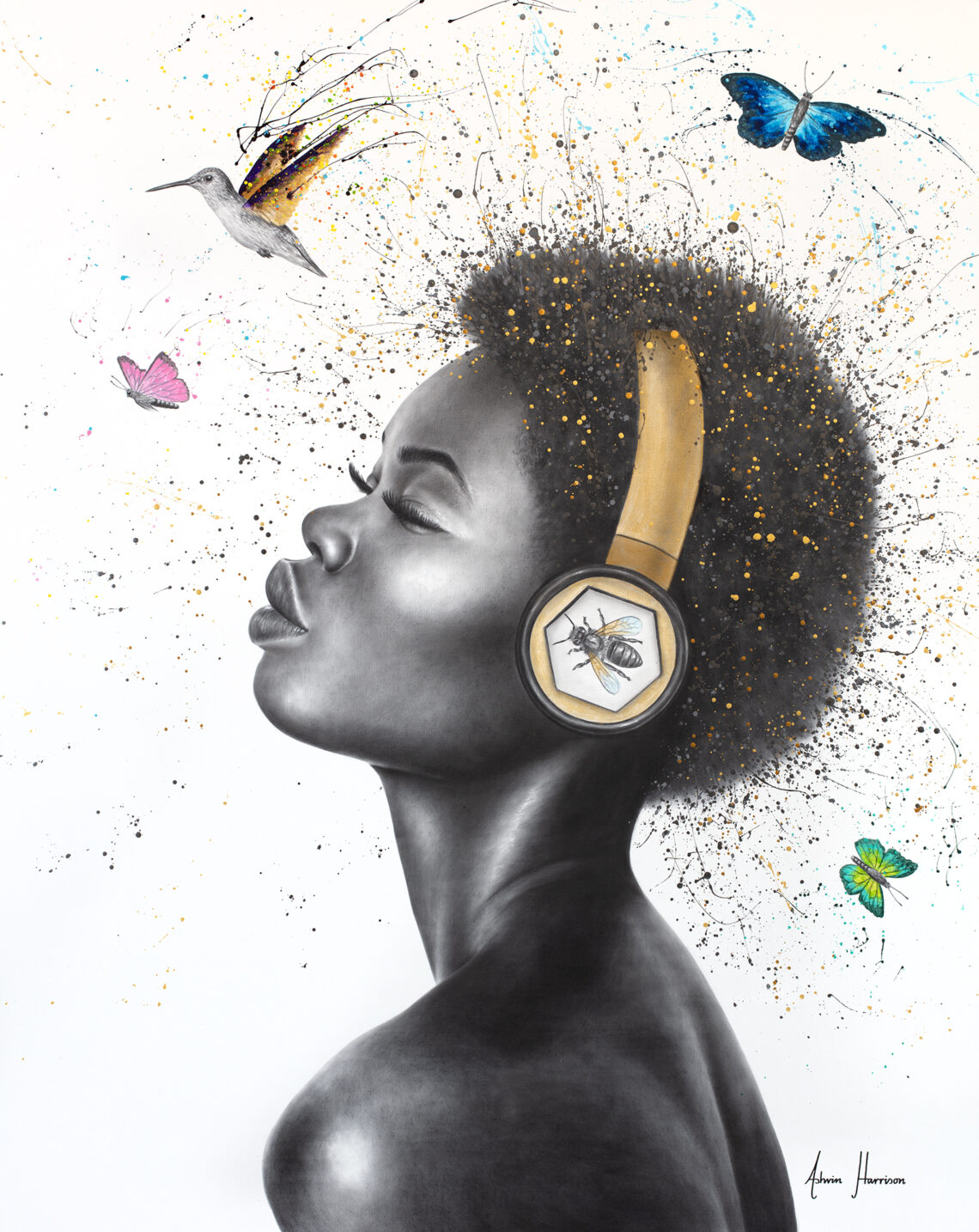 Australian Artist | Ashvin Harrison | Fine Art Paintings