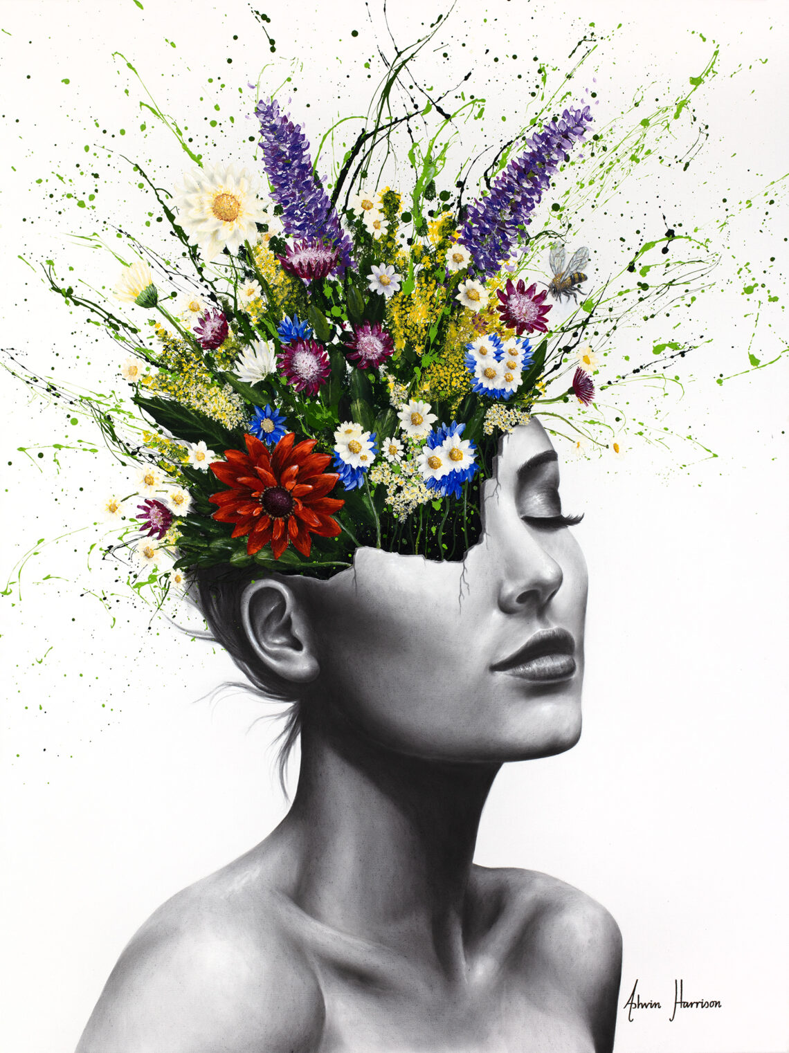 Archived Artwork | Ashvin Harrison Art | Australian Artist