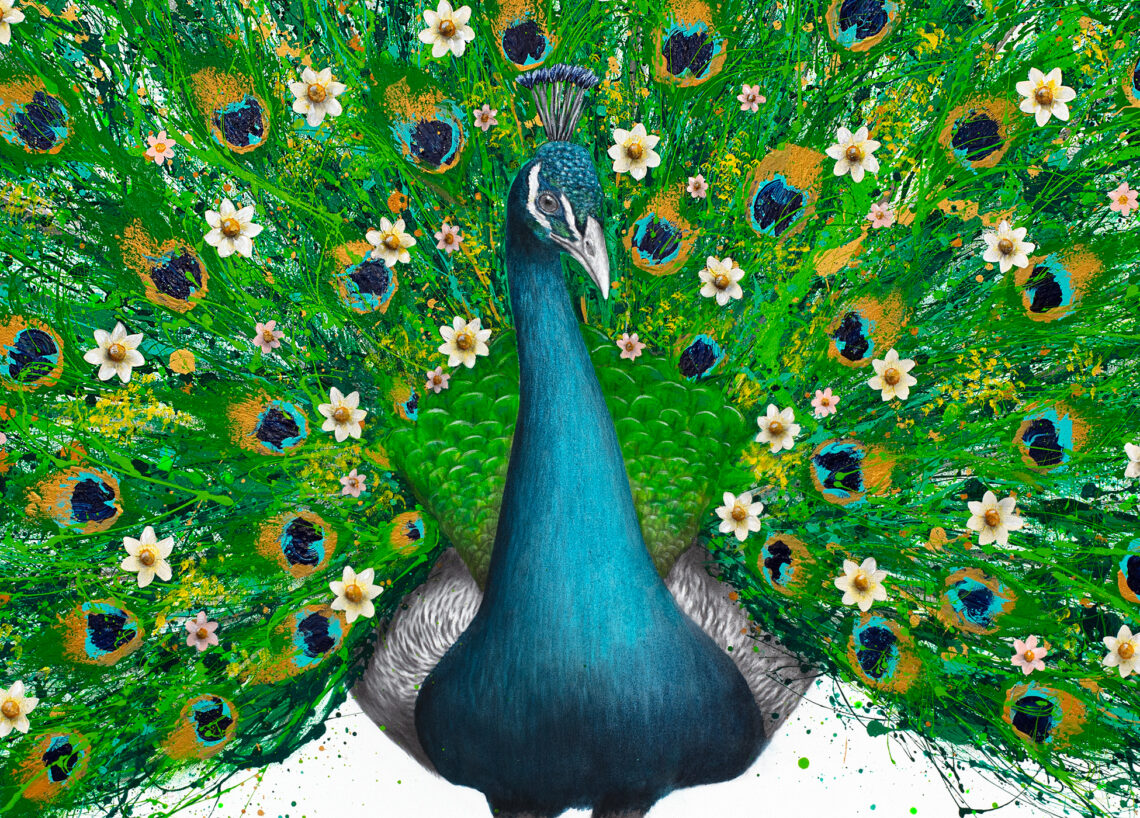 Poetic Peacock | Original Australian Art | Ashvin Harrison