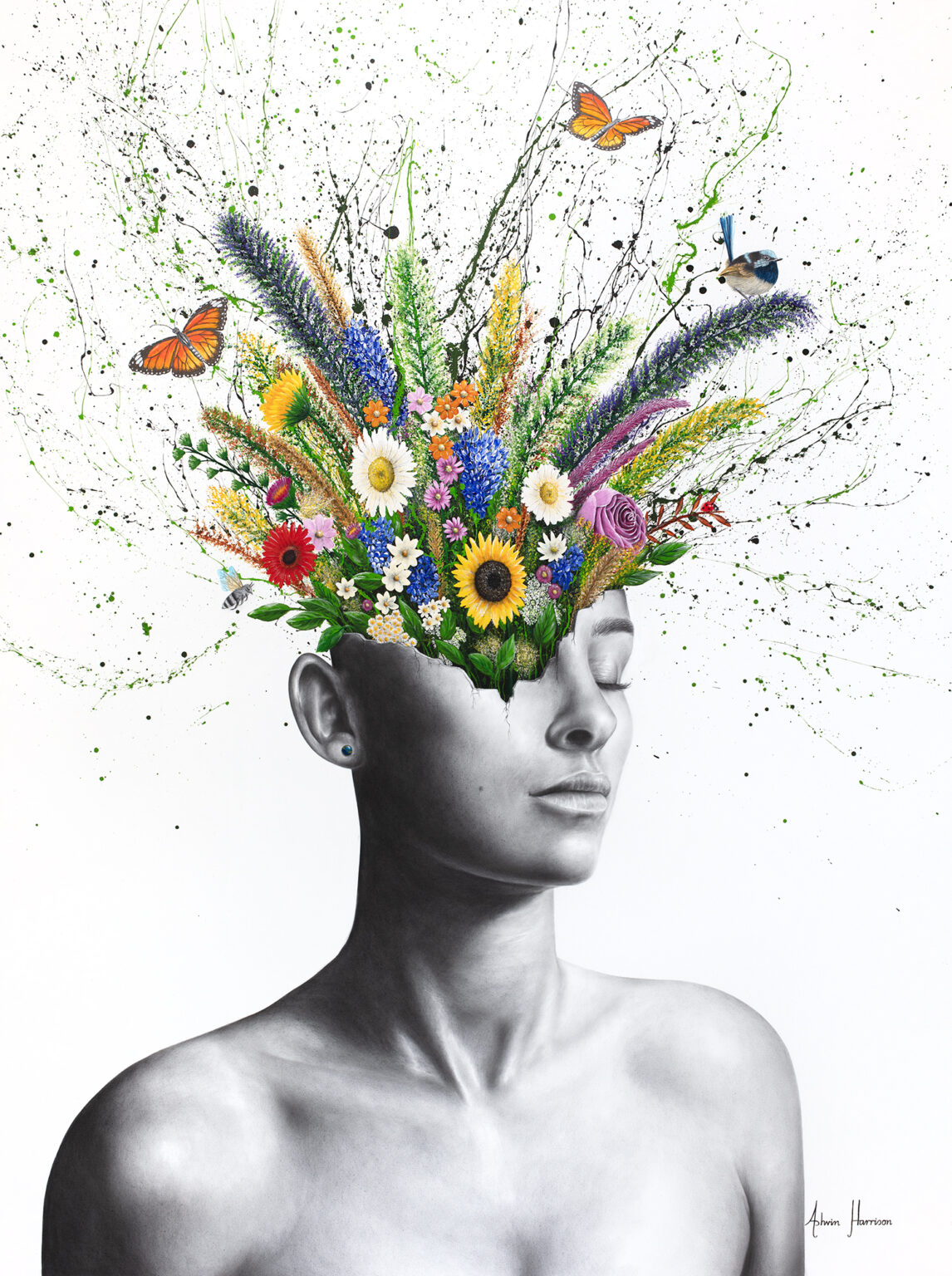 Archived Artwork | Ashvin Harrison Art | Australian Artist